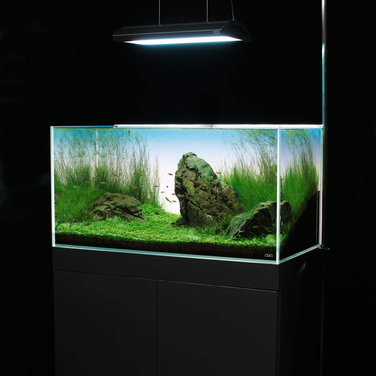 ADA LIGHT SCREEN 60 | Red Leaf Aquascaping